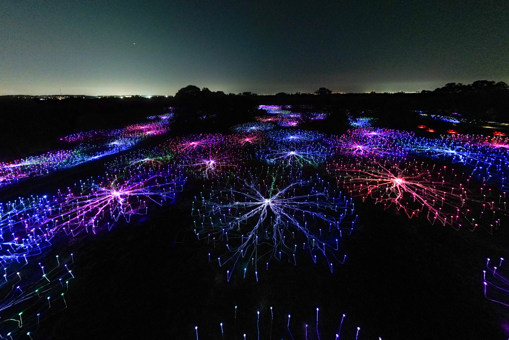 Bruce Munro’s Field of Light Continues at Lady Bird Johnson Wildflower ...