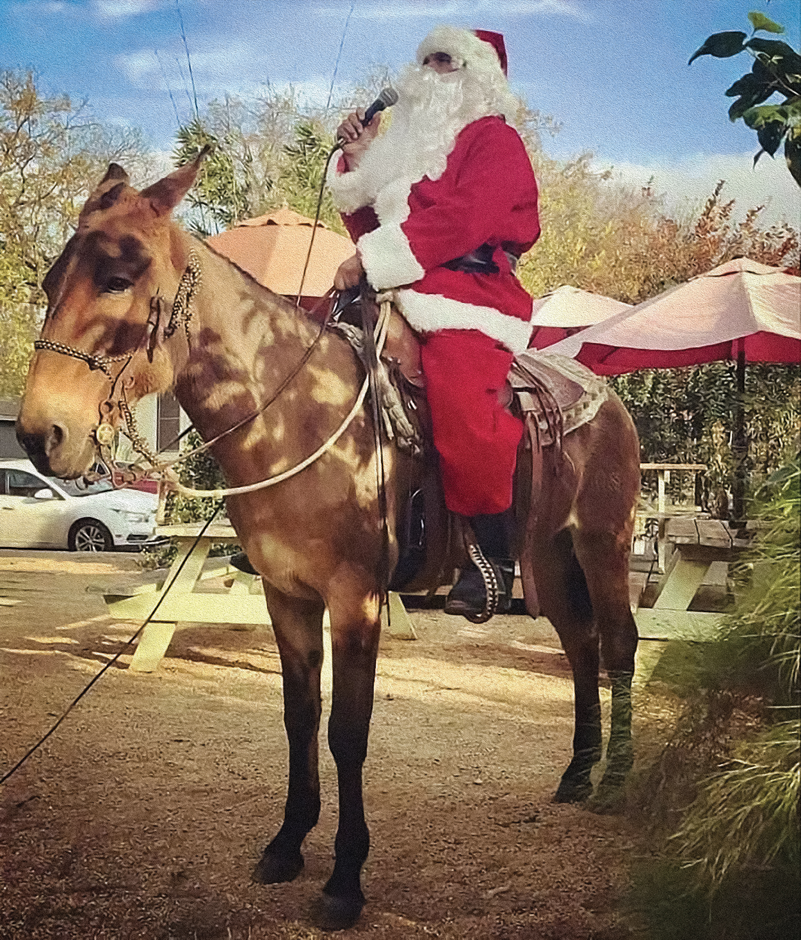 Meet Austin's Weirdest Santa - Austin Monthly Magazine