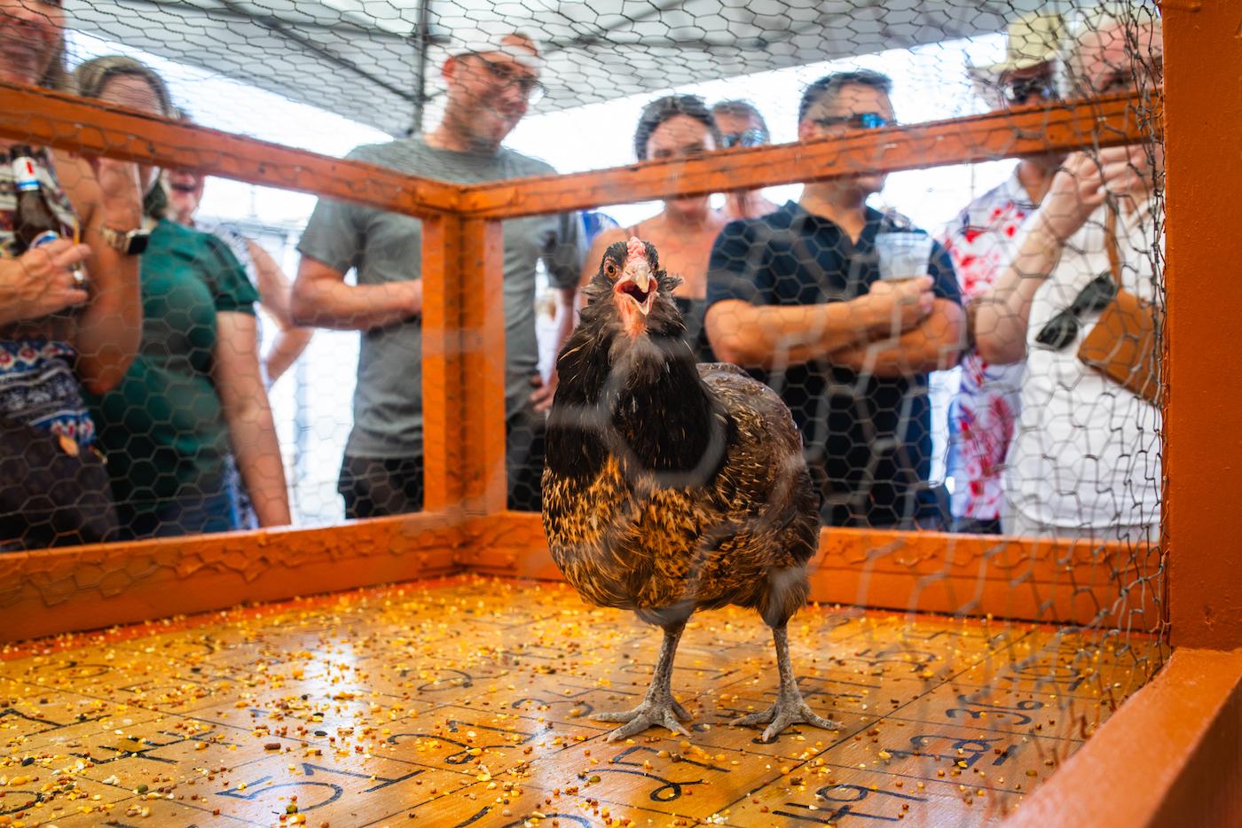 Aw, Clucks! Who Doesn’t Love the Little Longhorn Saloon? - Austin ...